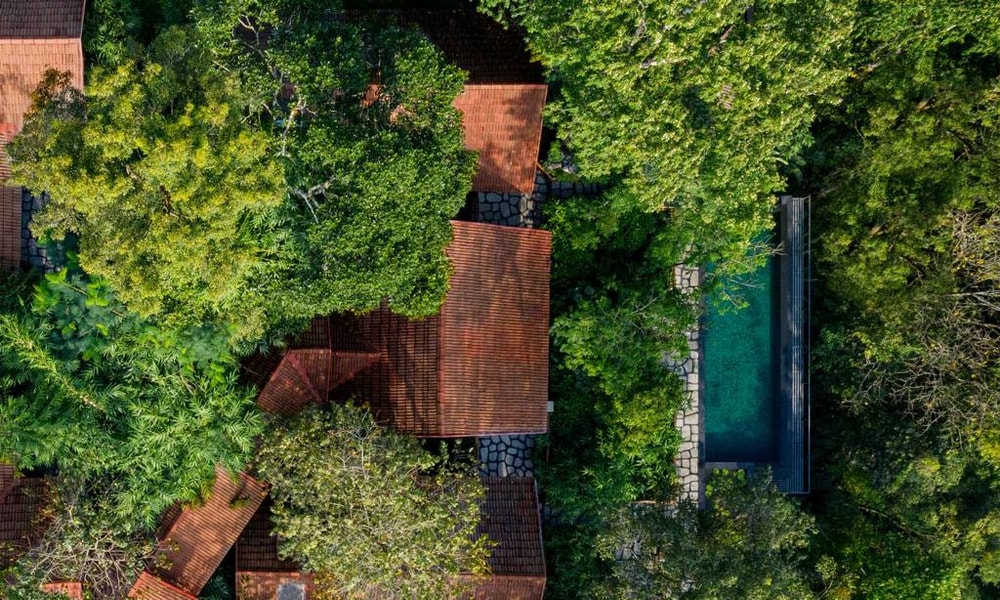 Earthitects | Nature Inspired Private Residences