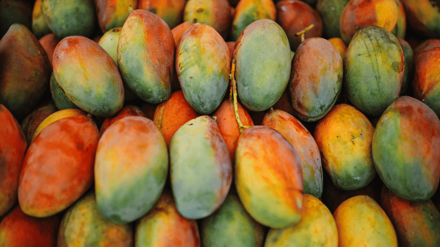 The Indian Mango Festival | Accord Hotels and Resorts