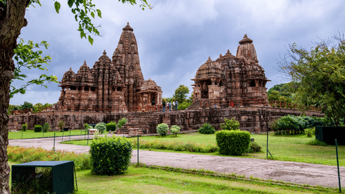 tendu leaf khajuraho