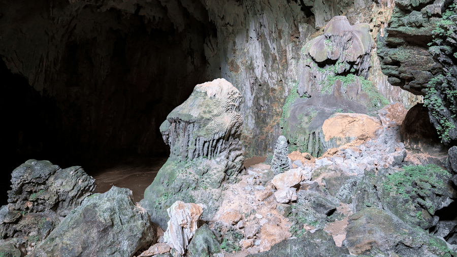 Black Chasm Cavern Tours |Black Chasm Cavern National Natural Landmark
