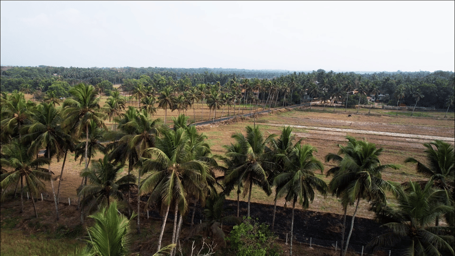 Places to Visit in South Goa | Azalea By Stone Wood Premier