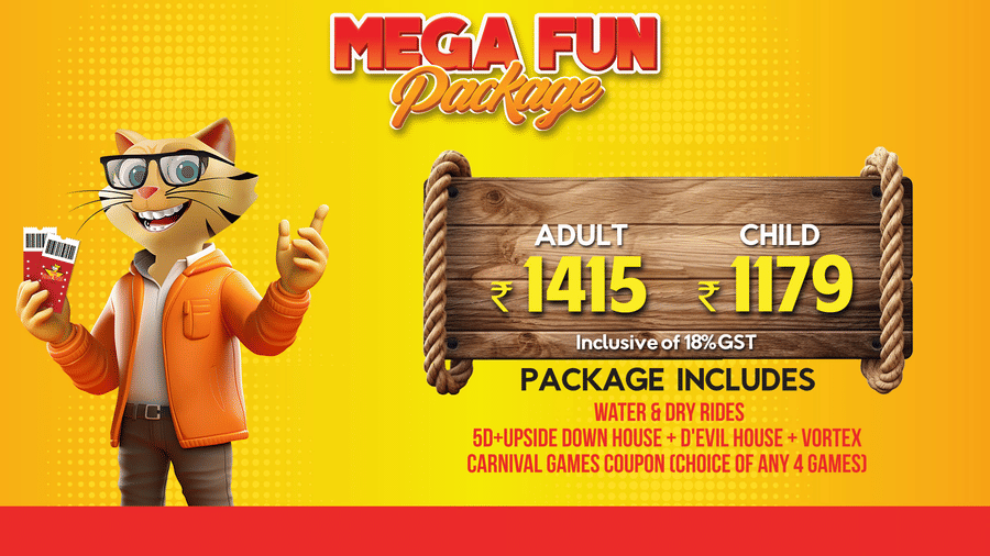 MEGA FUN PACKAGE | MGM Dizzee World