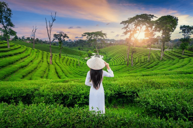 Top 10 Cold Places in Kerala to Escape the Summer Heat