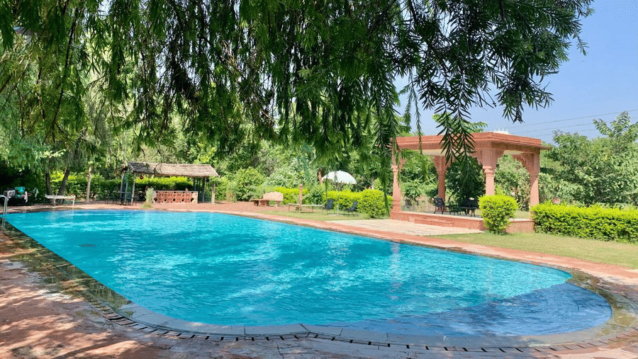 Talai - Enjoy The Pool at our Luxury Heritage Resort Near Jaipur ...