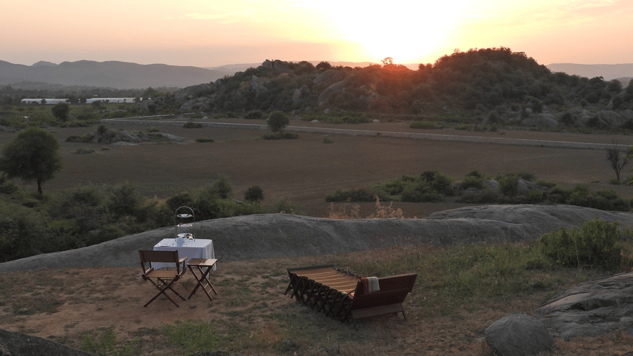 A Dawn with Leopards | Utsav Camp Sariska