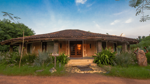 tendu leaf khajuraho