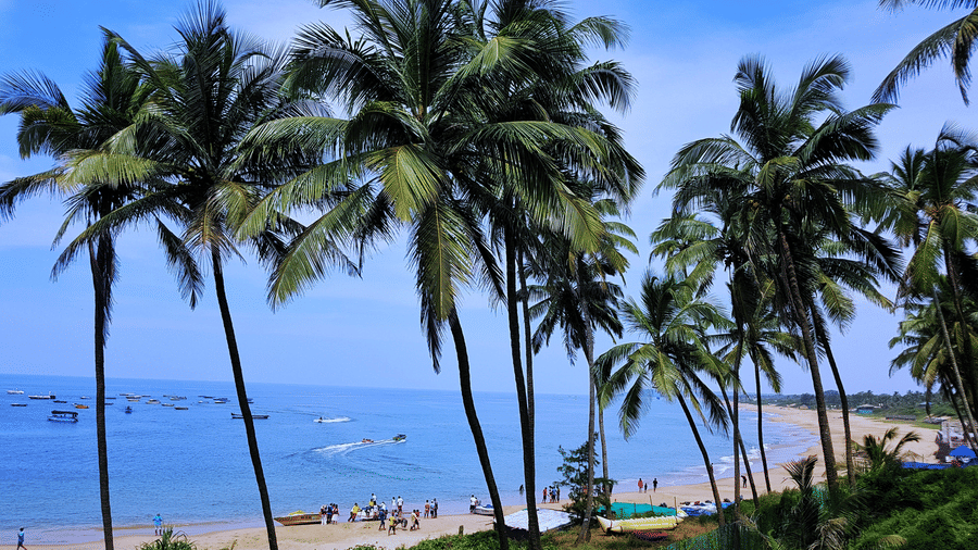 Best Time to Visit Goa | Stone Wood Hotels & Resorts