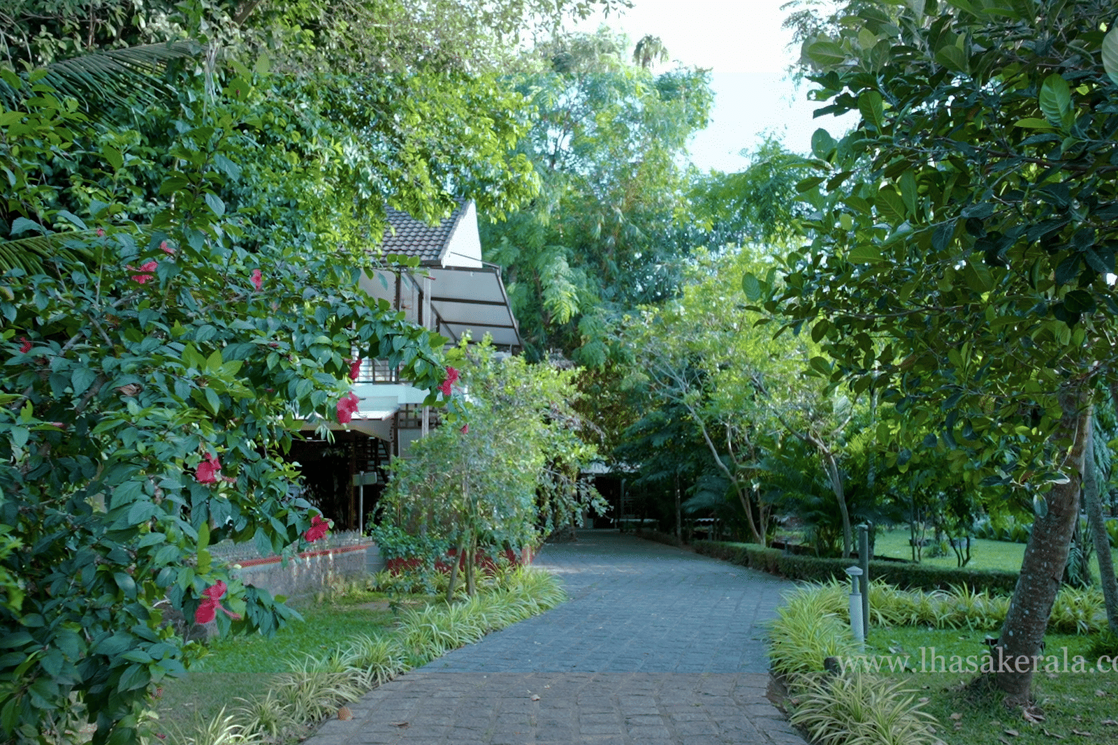 Explore Rajasthan | BluSalzz Hospitality