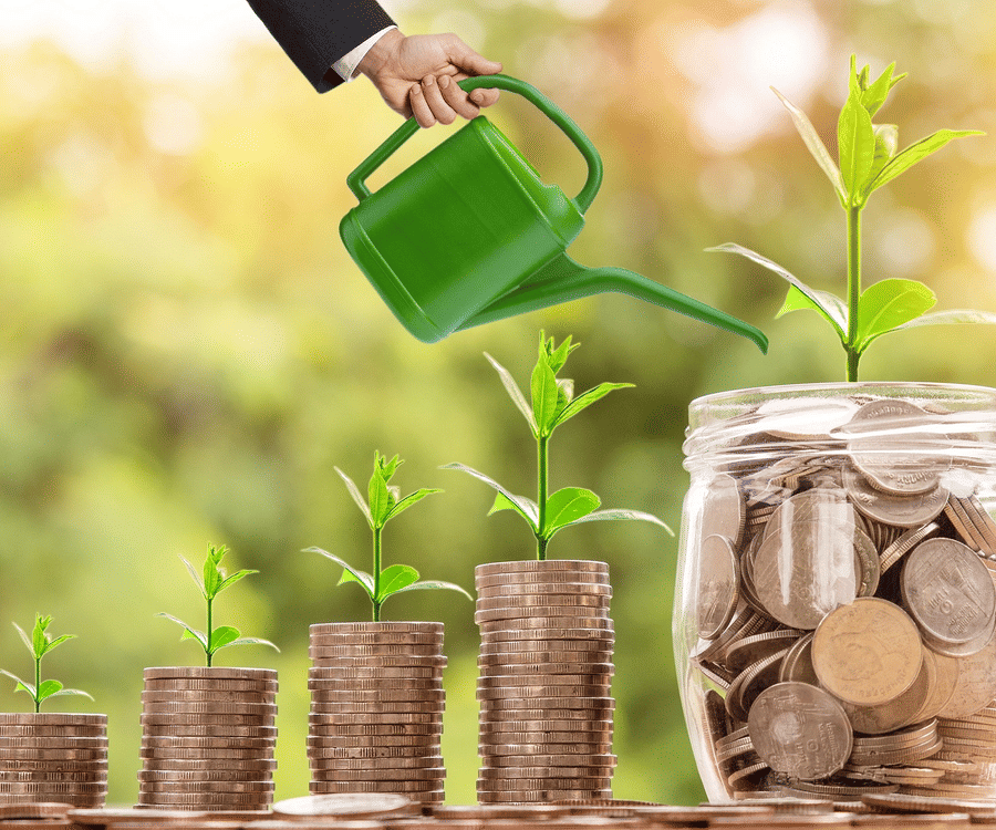 Grow direct bookings for hotels | Simplotel