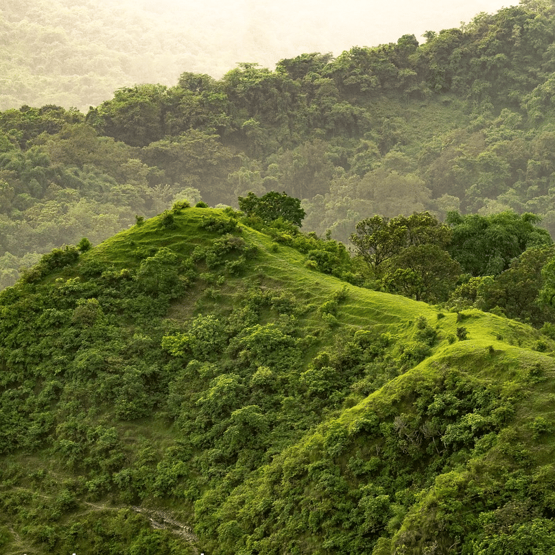 Best Places to Visit with Friends in Pune | Diamond Parks, Pune