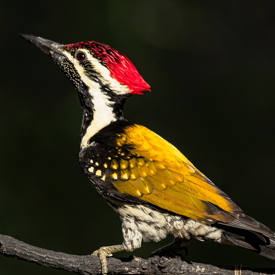 Treasures Hidden in Plain Sight | Evolve Back