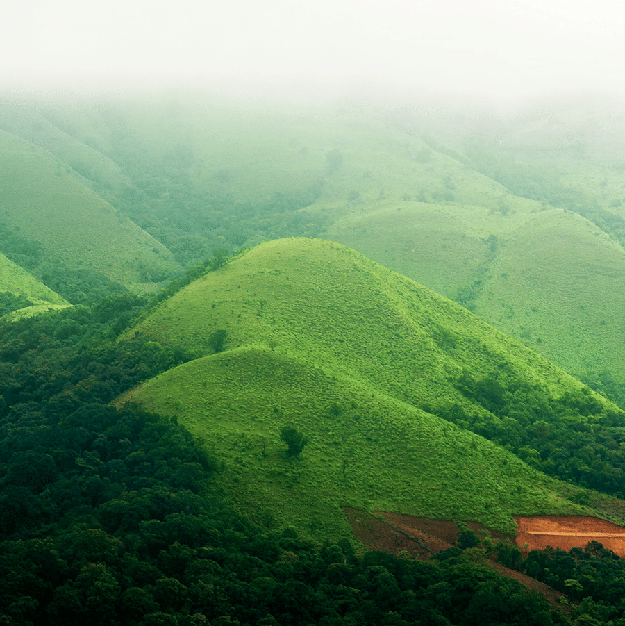A Photographer’s Guide to Coorg – 2 | Evolve Back