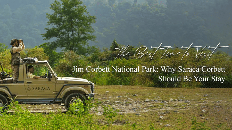 Best Time to Visit Jim Corbett | Saraca Hotels & Resorts